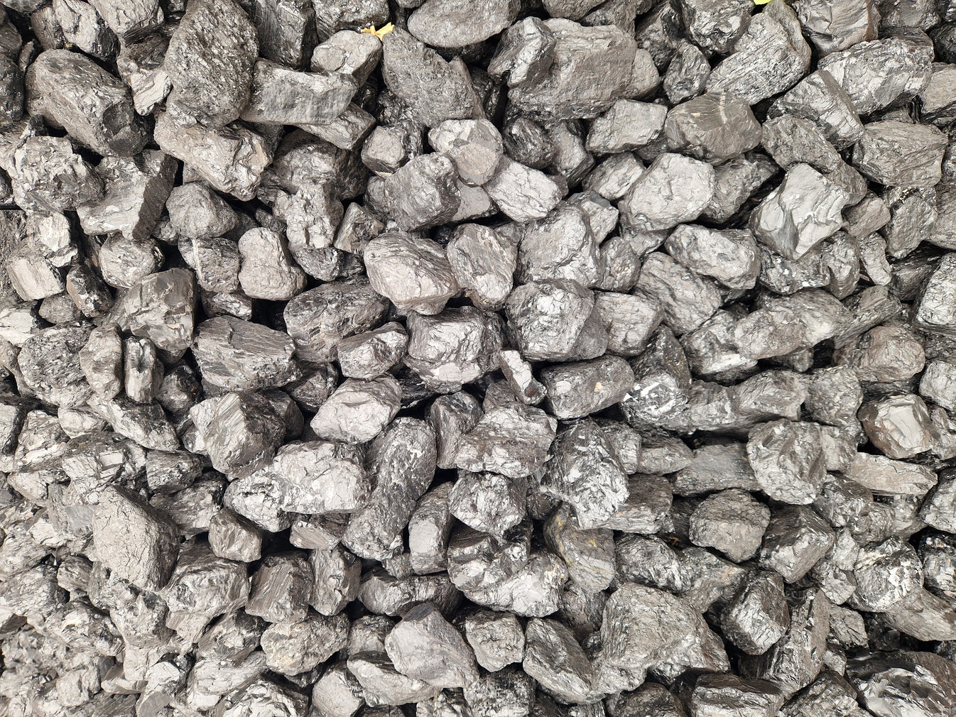 TOP QUALITY HOUSE COAL DOUBLES – Coal4Scotland